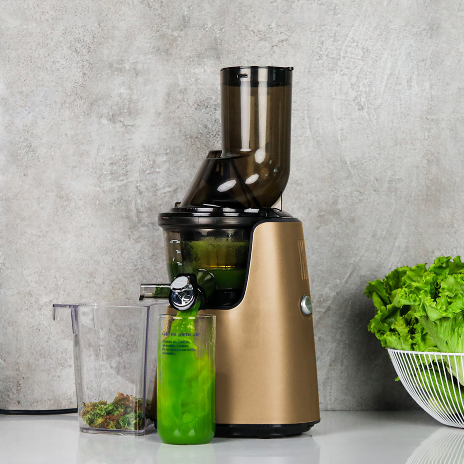 Kuvings C7000 Whole Slow Juicer with Dual Feeding Chute for Cold Press Masticating Juice ...
